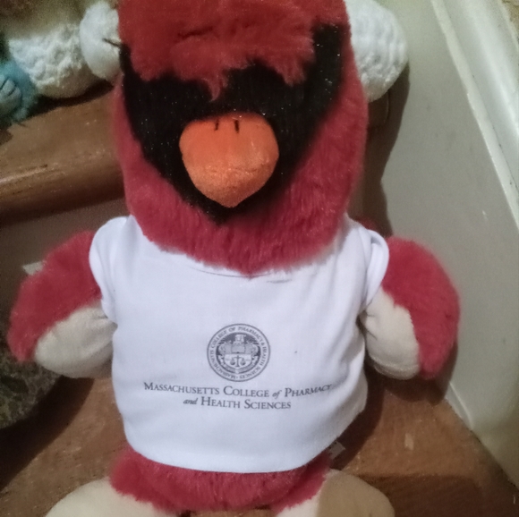 unknown | Toys | Cardinal Large Chubby Plush Bird Stuffed Animal | Poshmark